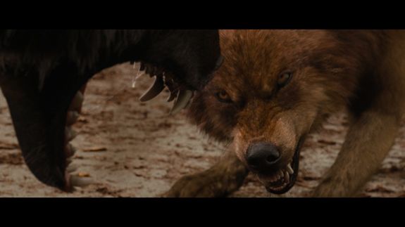 The Twilight Saga: Breaking Dawn - Part 1 | Home Cinema Choice